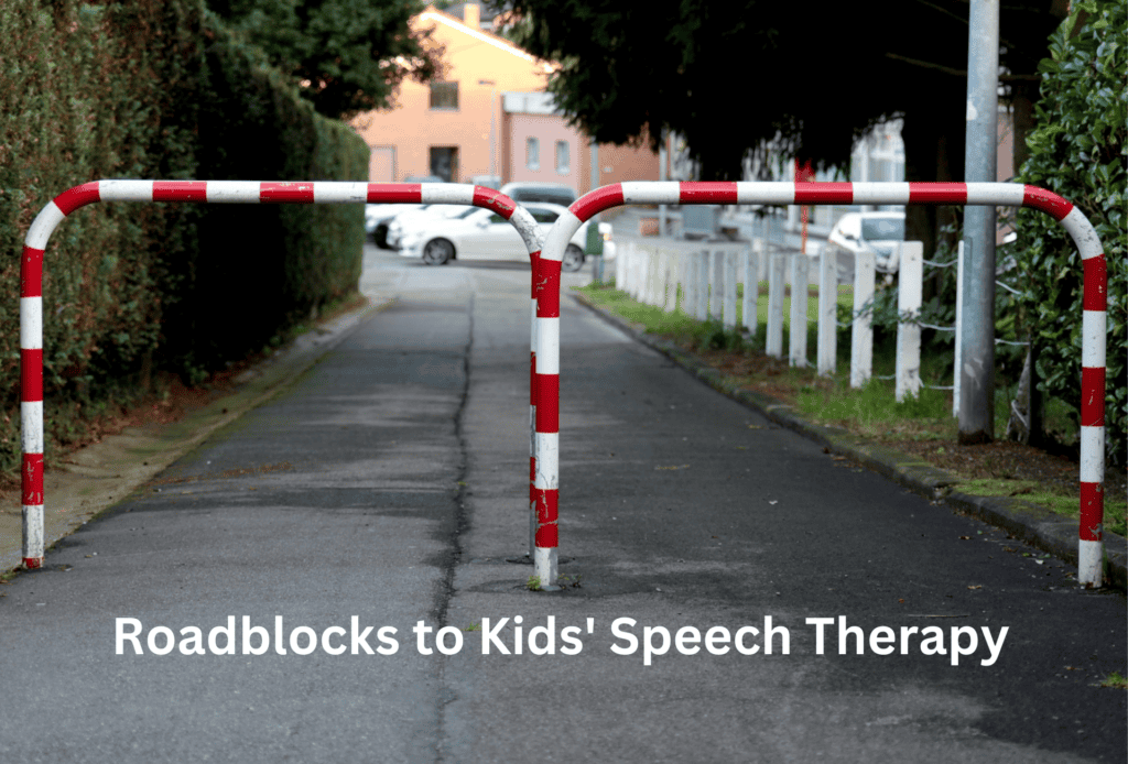 Brampton - http://speechlink.ca